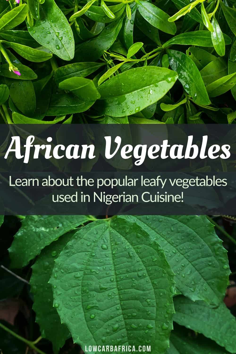 African Vegetables (Leafy Greens) - Low Carb Africa